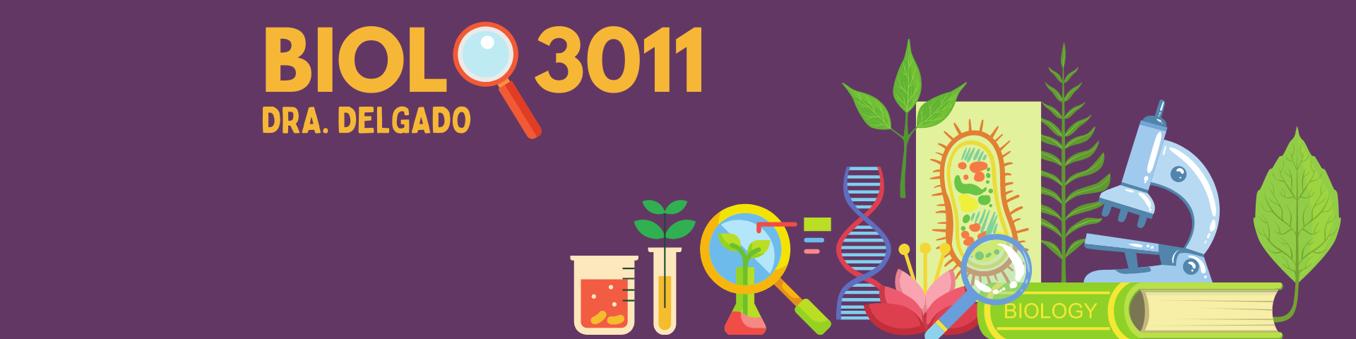 Resultados de la búsqueda | UPRB Moodle